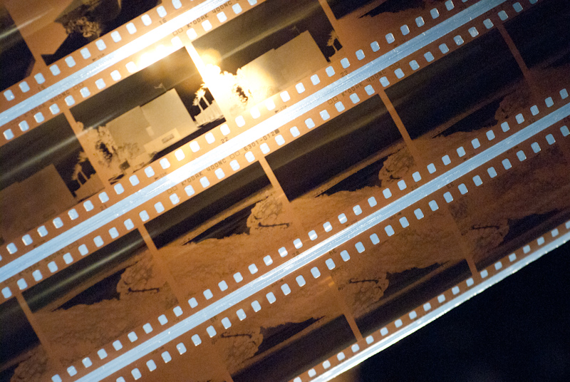 写真 – Page 3 – This Is My Americana